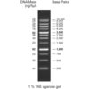 100bp DNA ladder, 100-1500bp - Thistle Scientific