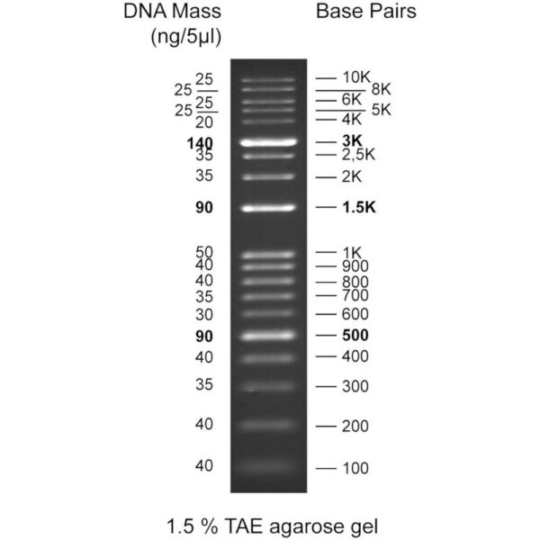 1Kb PLUS DNA ladder, 100-10Kb - Thistle Scientific