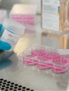 Welcome to Thistle Scientific - Thistle Scientific